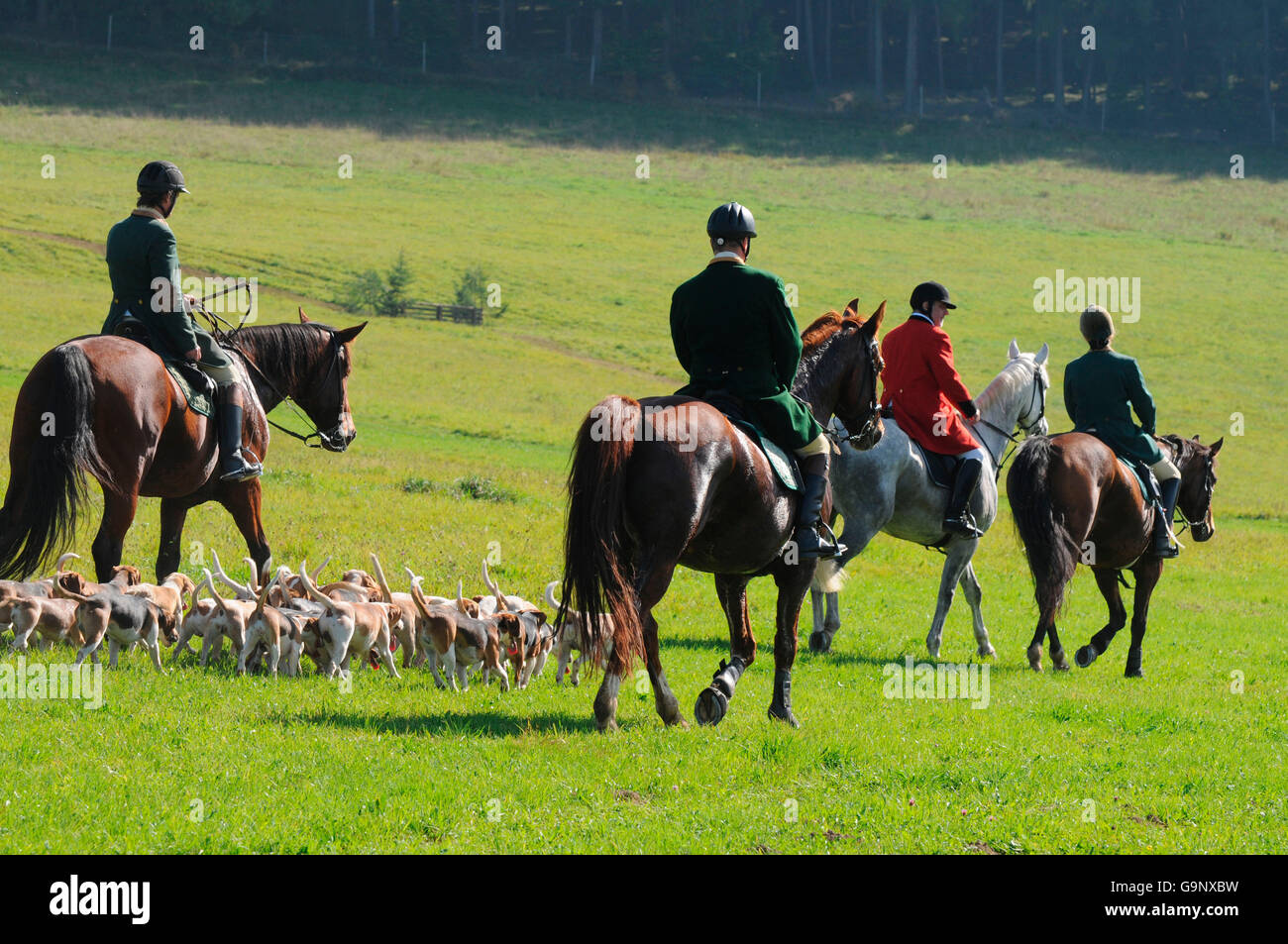 Human hunt hi-res stock photography and images - Alamy