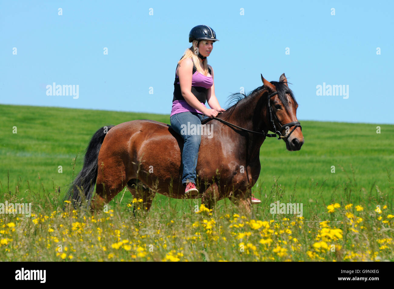 Woman riding bareback on horse hi-res stock photography and images - Alamy