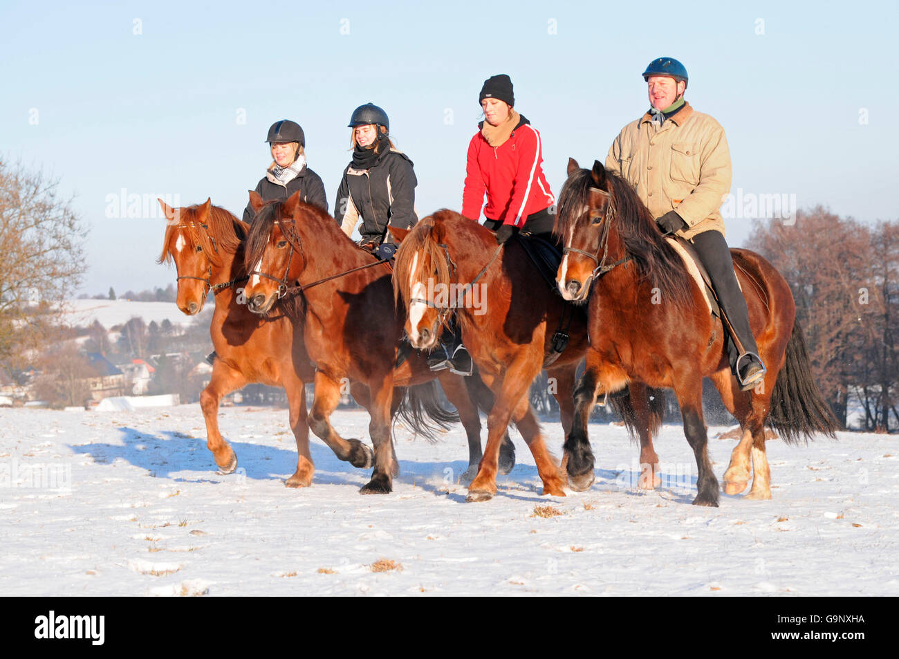Trail Riding, Welsh Pony, section D / Welsh Cob, rider Stock Photo - Alamy