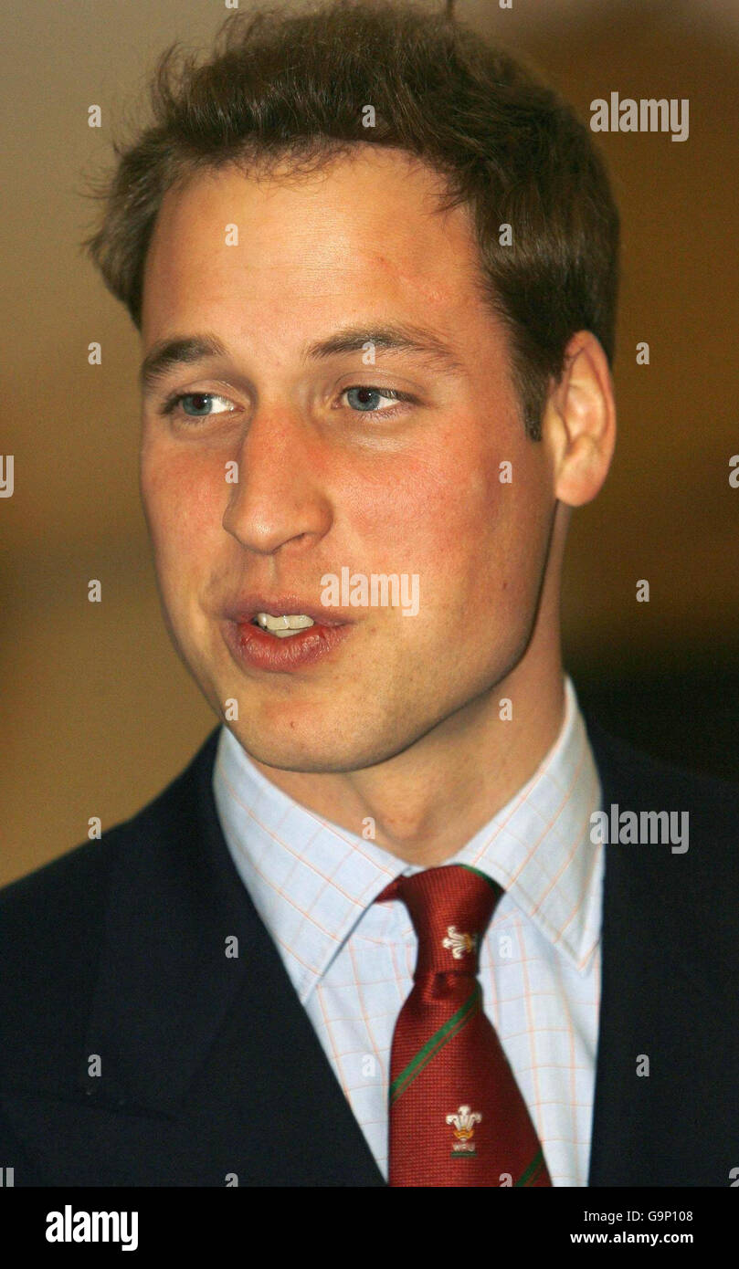 Prince william at the millennium stadium hi-res stock photography and ...