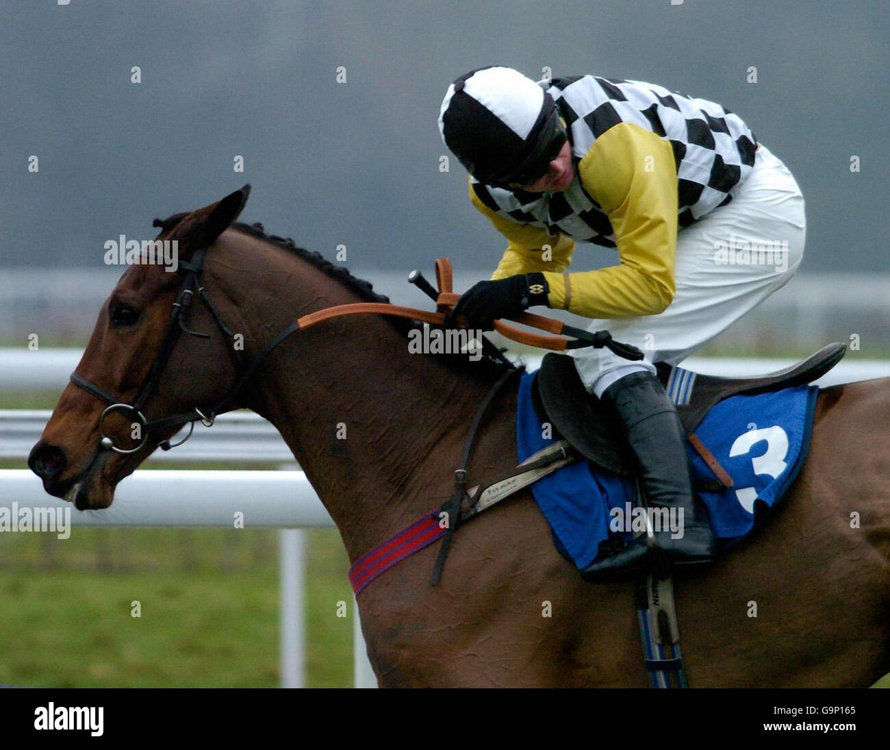 Horse Racing - Kempton Park Racecourse Stock Photo - Alamy