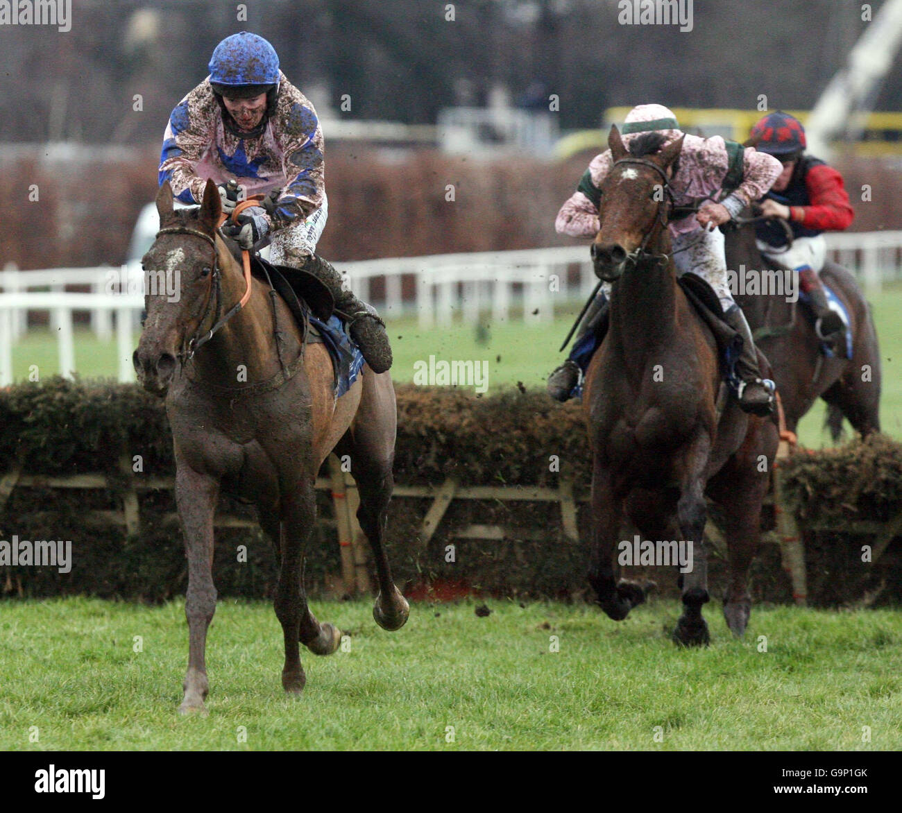 Horse Racing - Leopardstown Racecourse Stock Photo - Alamy
