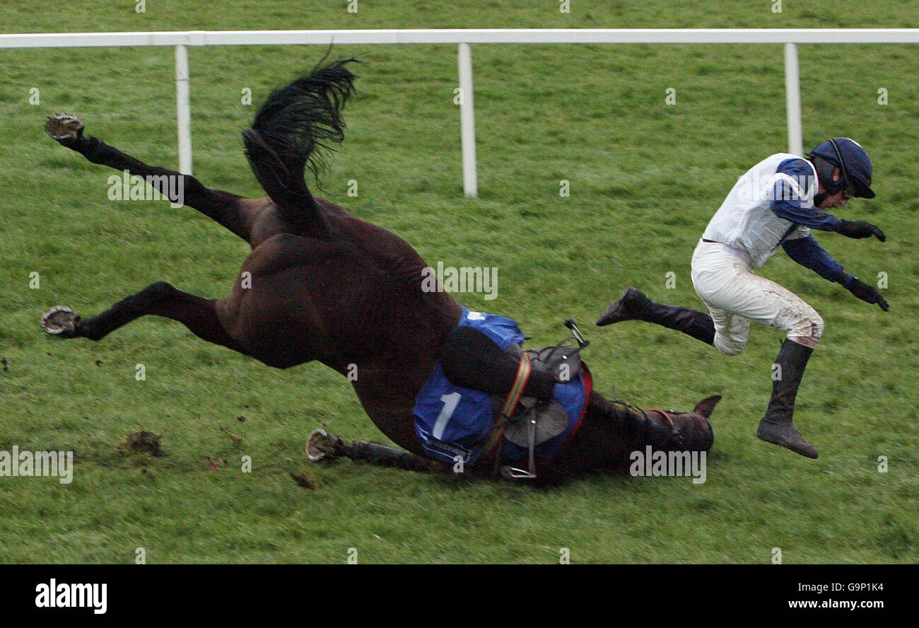 Jockey davy condon hi-res stock photography and images - Alamy