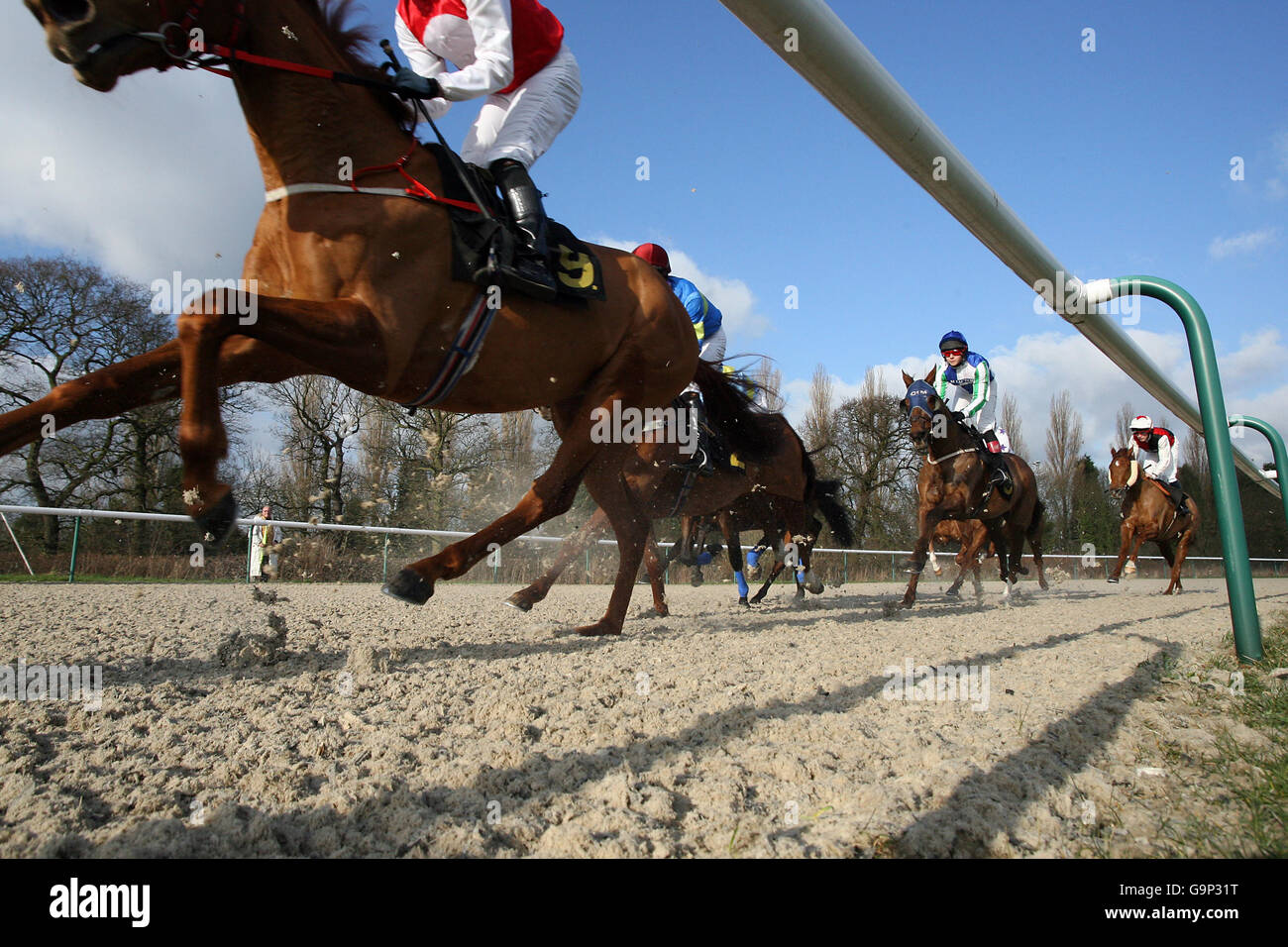 Horse Racing - Wolverhampton Racecourse Stock Photo - Alamy