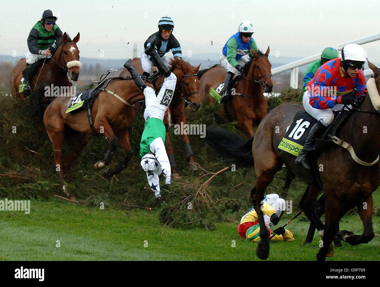 Horse Racing - Stock. Marcus Foley crashes off Solar System at the ...