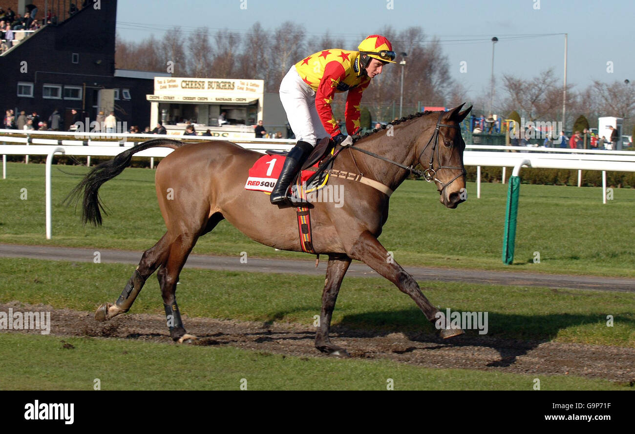 Horse Racing - Stock. Sir Rembrandt and jockey Daryl Jacob prior to the ...