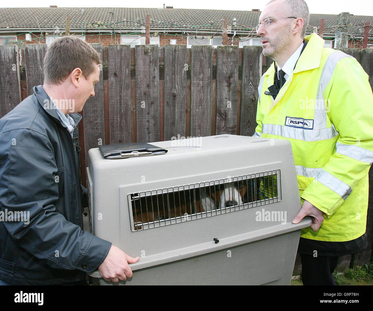 Five arrested in dog fighting raid hi-res stock photography and images ...