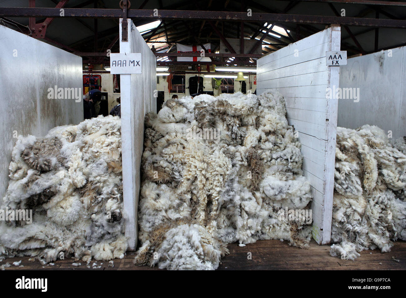 Wool waits to be sorted on a large farm in Goose Green on the Falkland ...