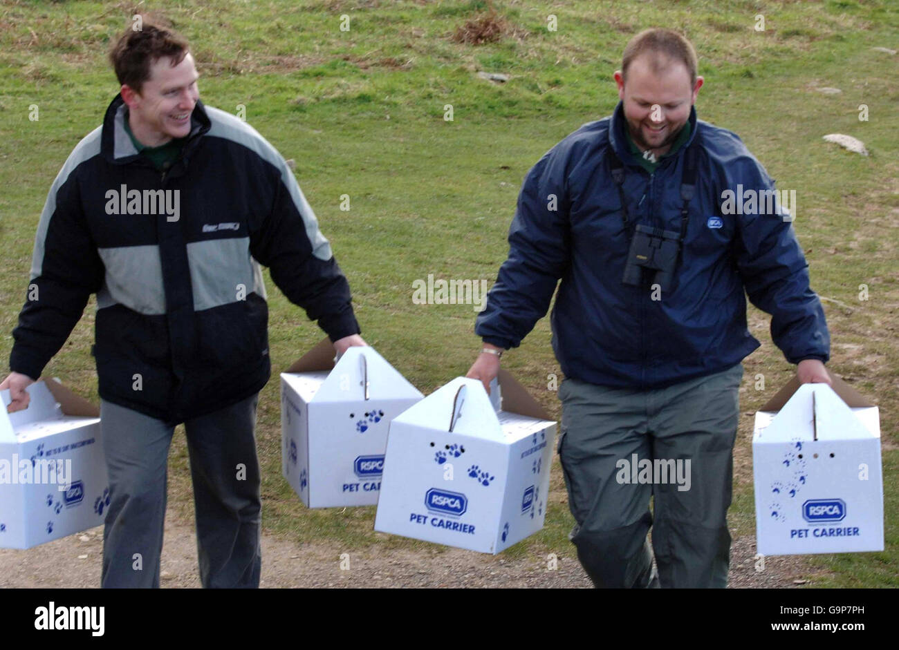 RSPCA officers Rupert Griffiths (left) and Shawn Clements carry some of ...