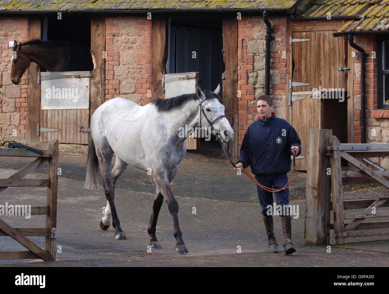 Philip hobbs racing stables hi-res stock photography and images - Alamy