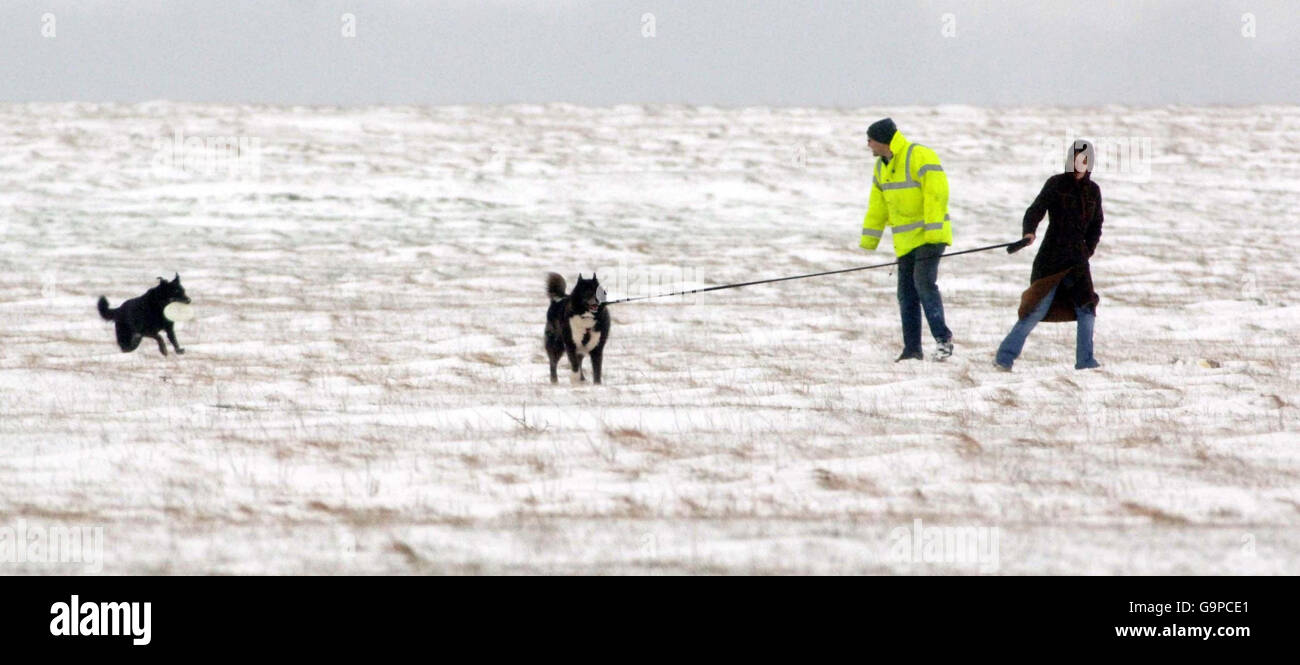 Dog walkers on snow covered Minchinhampton Common, Gloucestershire ...