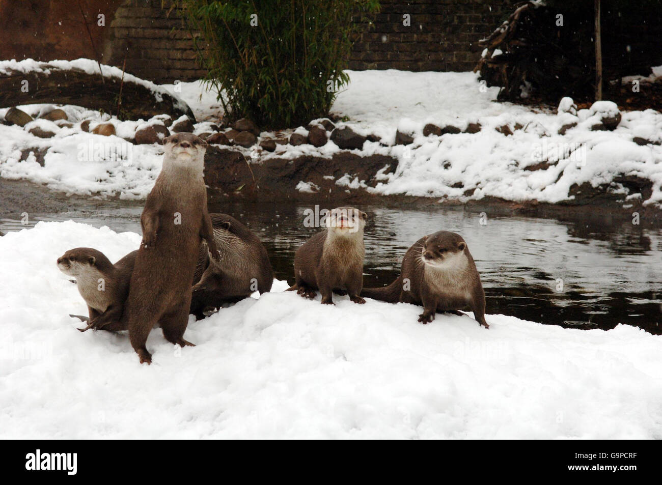 Zoo uk general view hi-res stock photography and images - Alamy