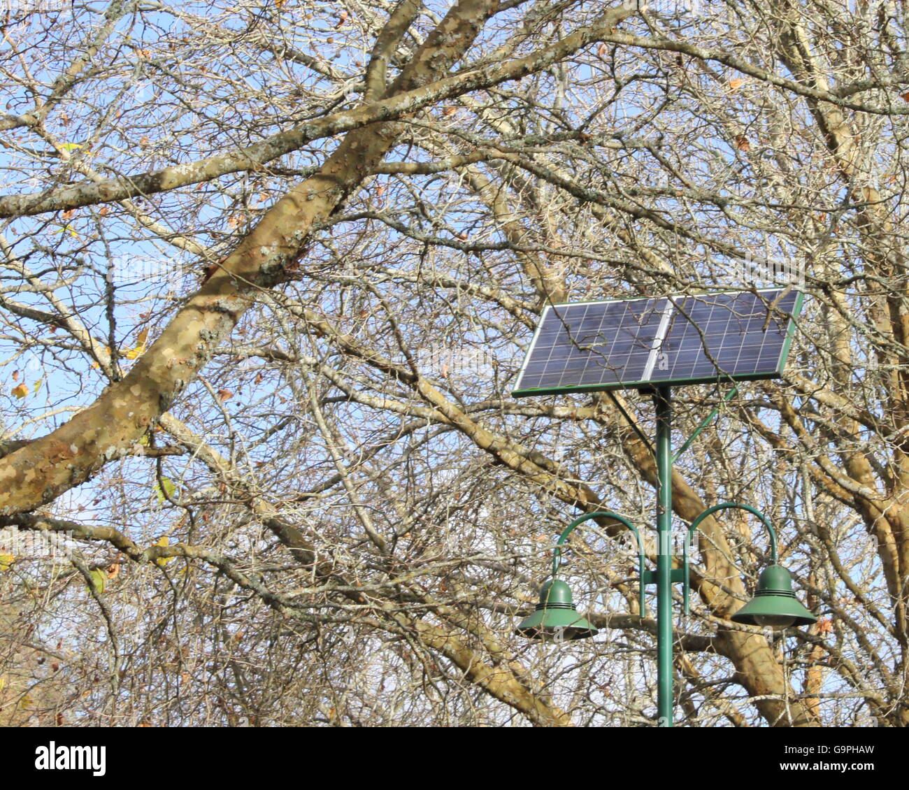 Solar powered street lights surrounded by trees Stock Photo - Alamy