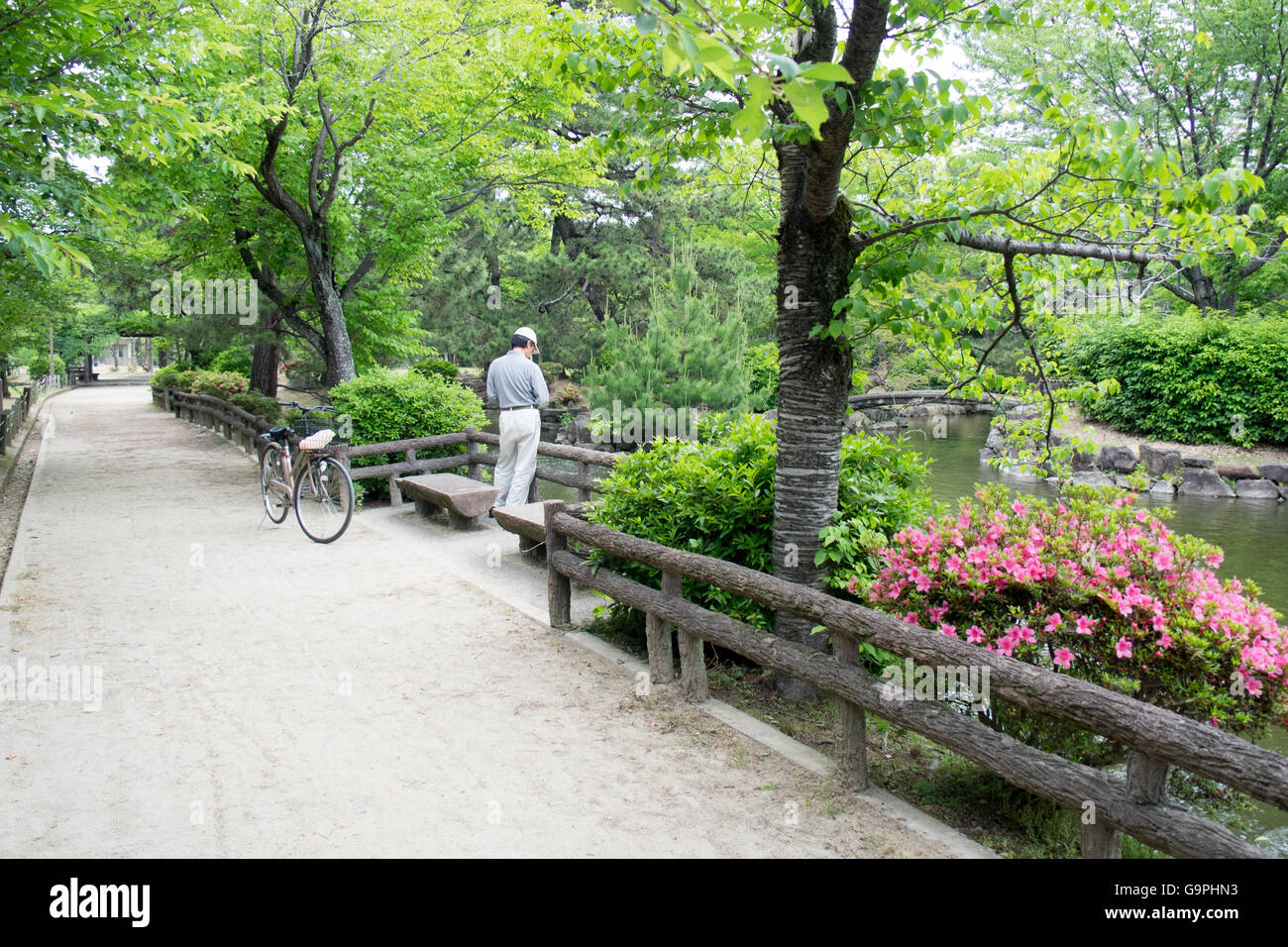 A man feeding koi fish in the moat surrounding Himeji Castle Stock ...