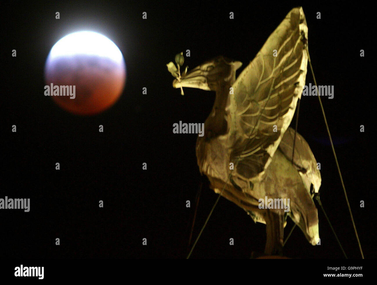 Lunar birds hi-res stock photography and images - Alamy