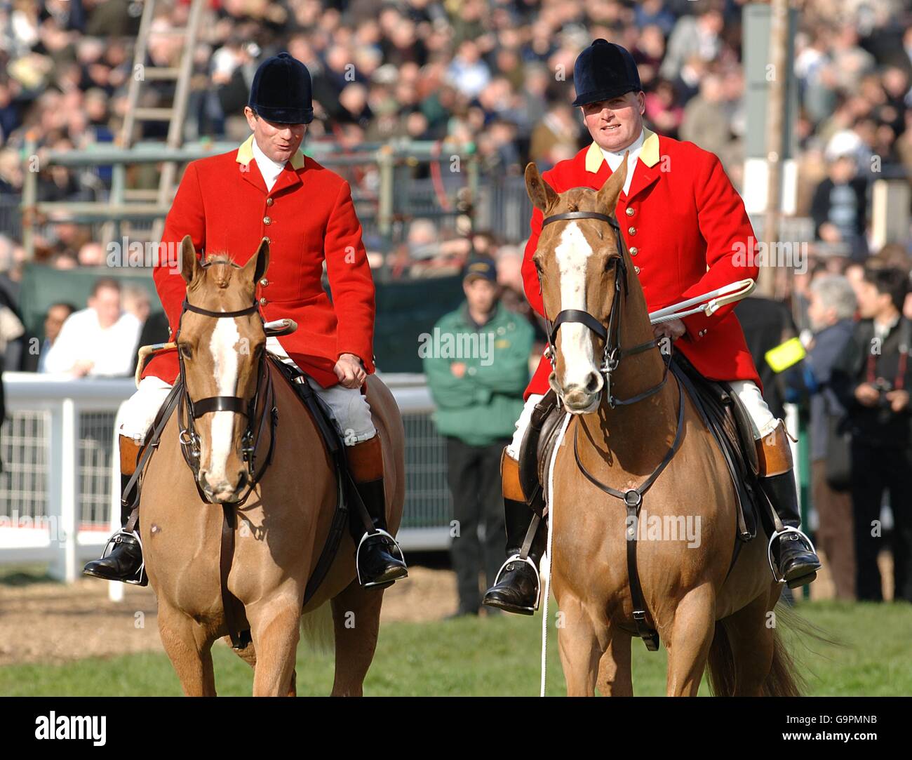 Huntsman on show before the Smurfit Kappa Champion Hurdle Challenge ...