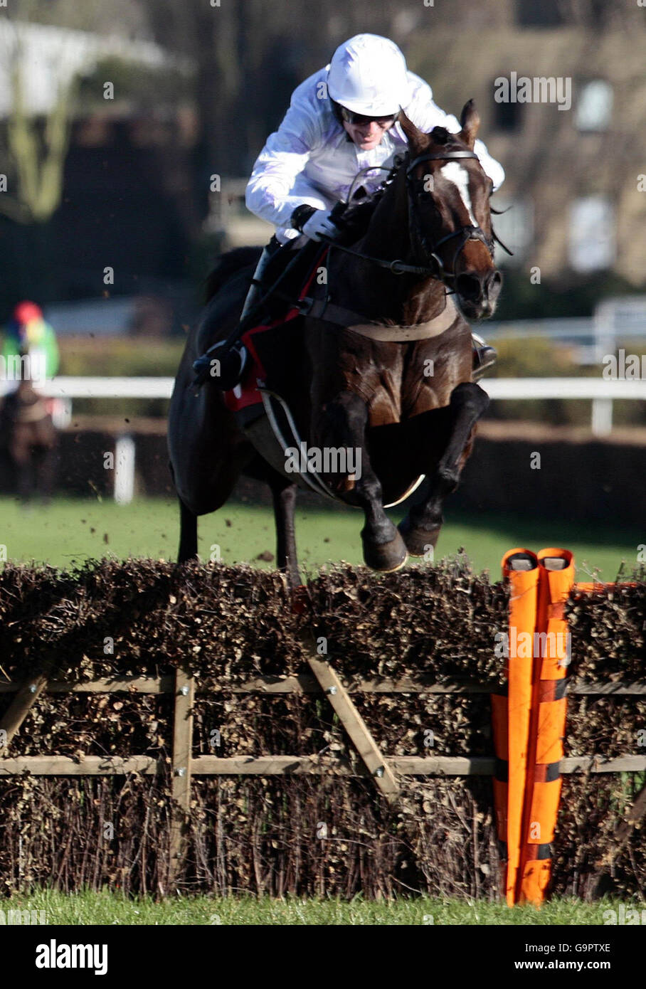 Horse Racing - Sandown Racecourse Stock Photo - Alamy