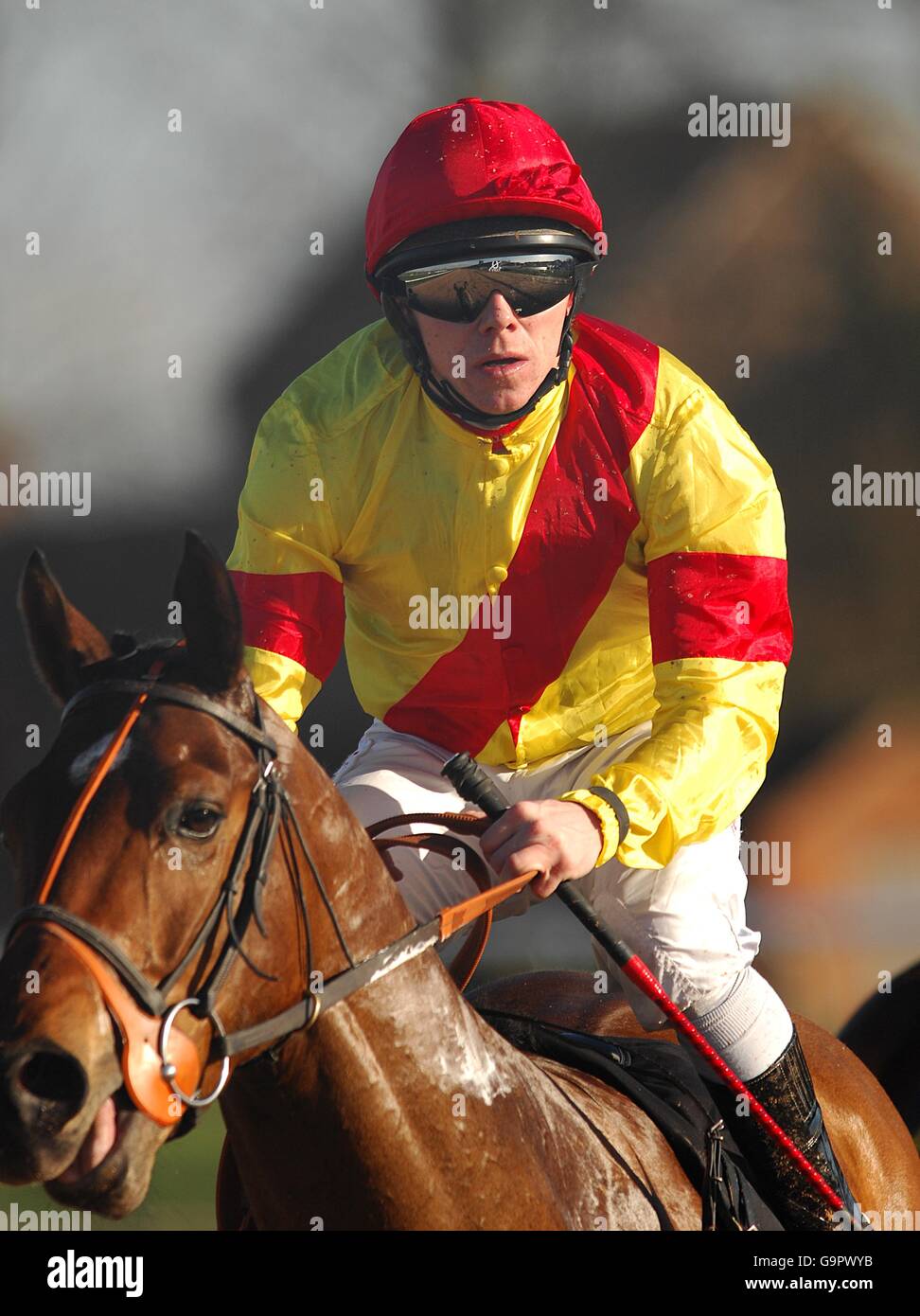 Jockey Mark Lawson on Le Masque during the bonusprint.com Median ...