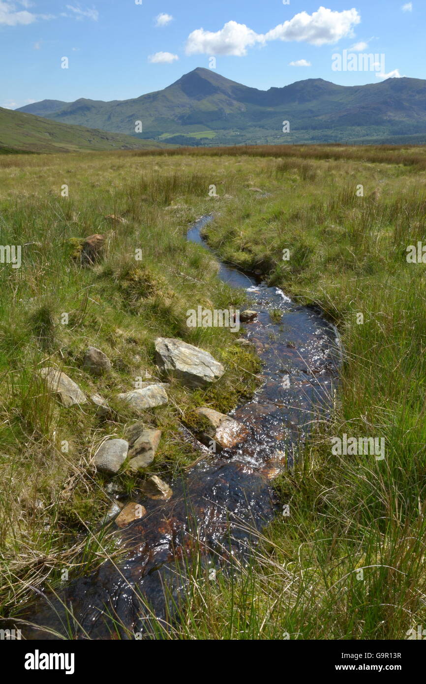 A stream running through grassland in Snowdonia Stock Photo - Alamy