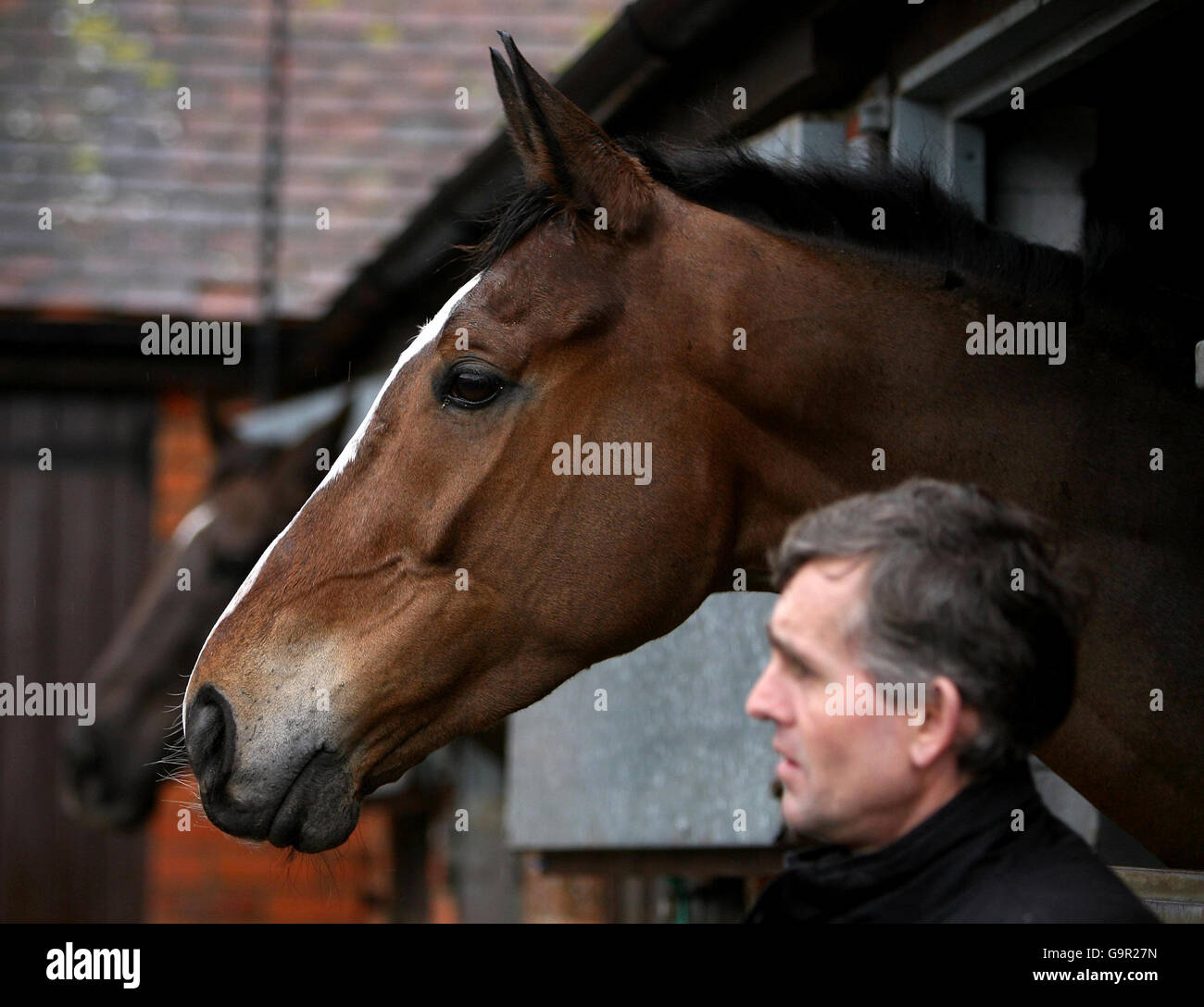 Horse Racing - Paul Nicholls Stable Visit. Kauto Star at Paul Nicholls ...