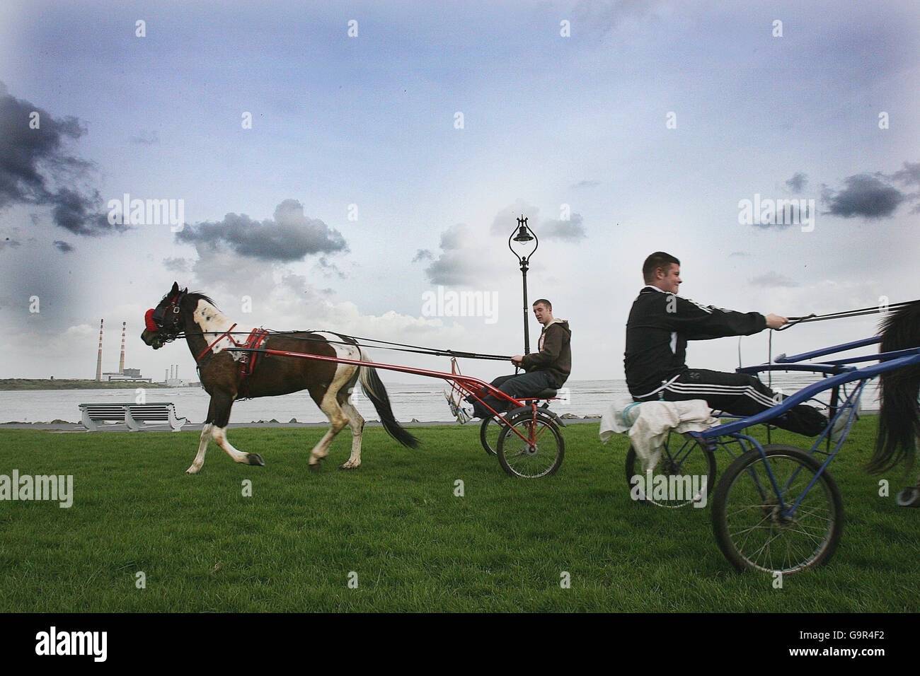 Sulky racing hi-res stock photography and images - Alamy