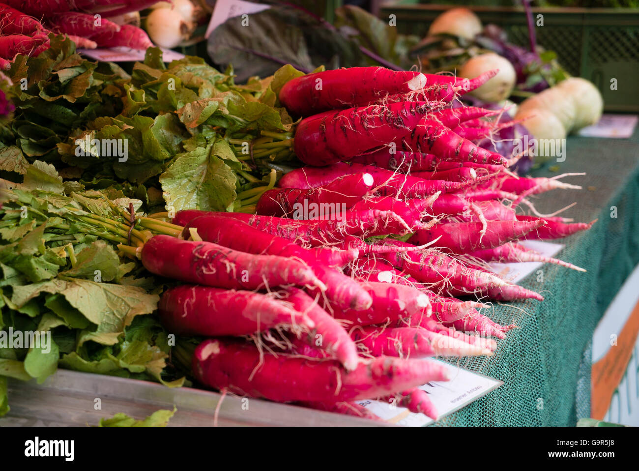 Purple long radish hi-res stock photography and images - Alamy