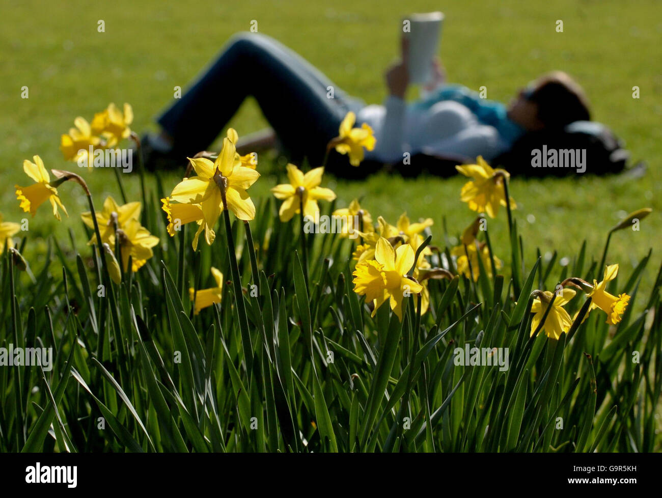 Weather Spring 10 Day at Lori Allan blog