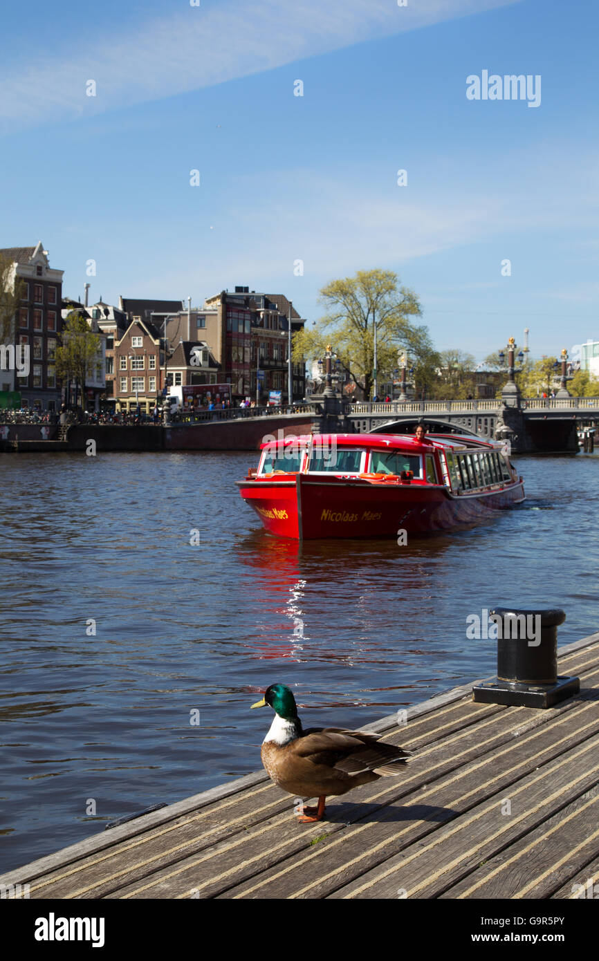 Amsterdam sightseeing boat tour hi-res stock photography and images - Alamy