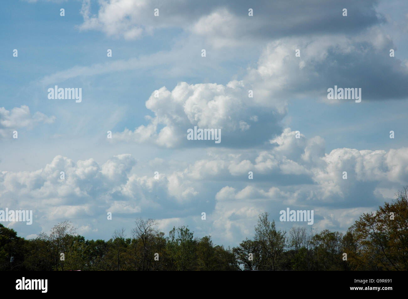 Trees, sky and clouds Stock Photo - Alamy