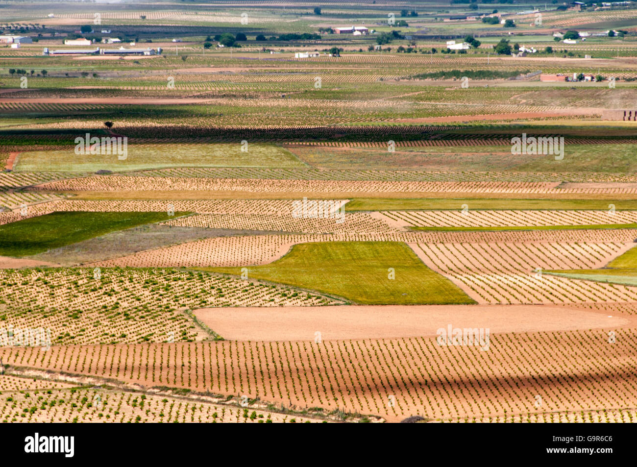 Traditional crops from spain hi-res stock photography and images - Alamy