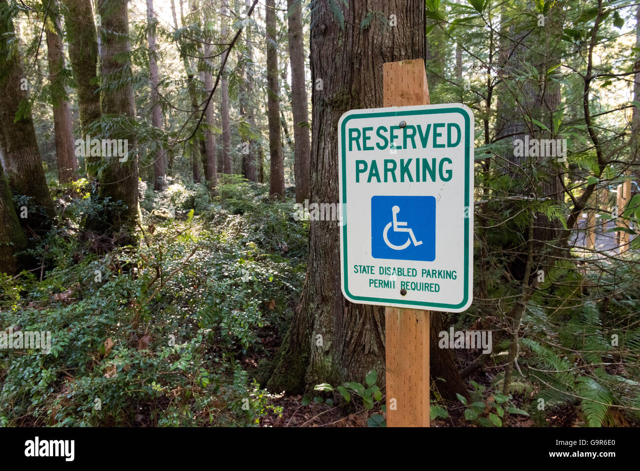 Mentally handicapped person hi-res stock photography and images - Alamy