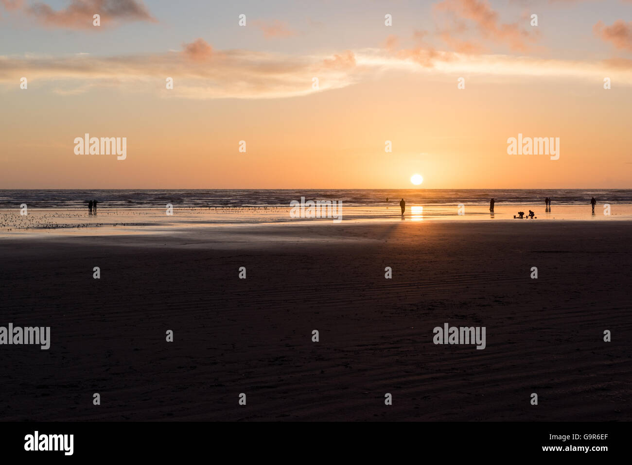 Sunset at Pasific Beach State Park in Washington Stock Photo - Alamy