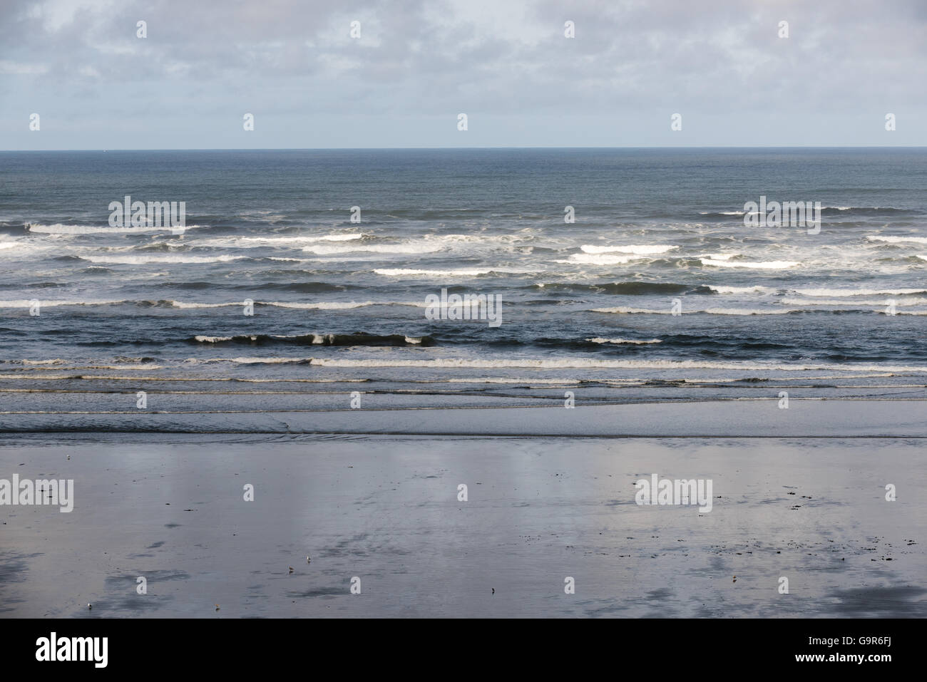 People digging for clams on the Washington coast Stock Photo - Alamy