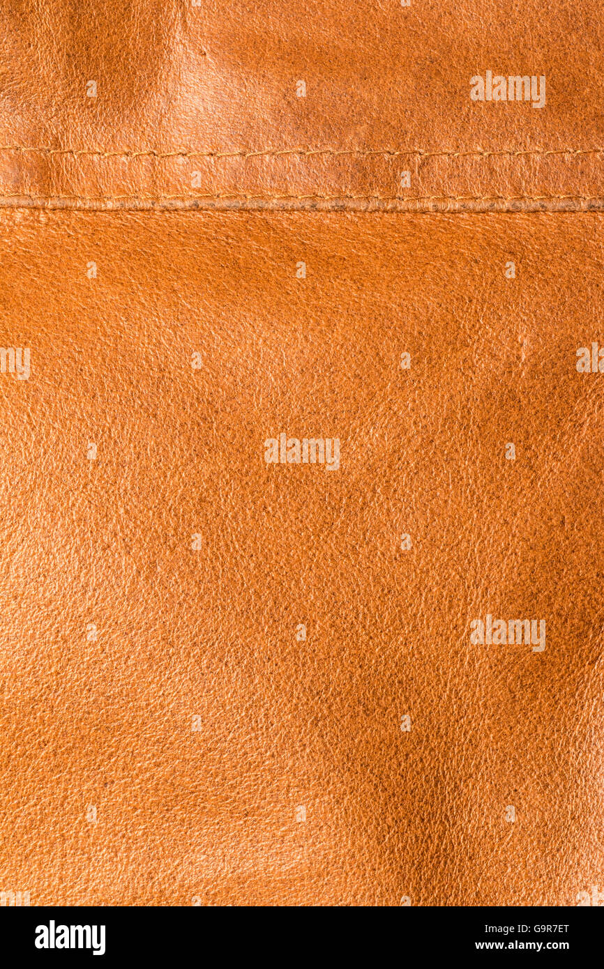 texture of hide Stock Photo - Alamy