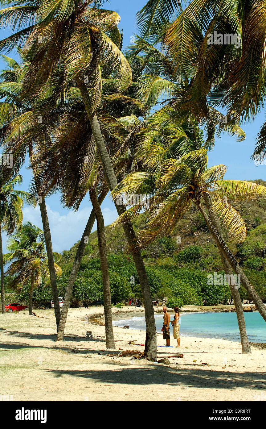 Cockleshell Bay beach, St Kitts, Sunday March 18 2007. PA photo: Rui ...