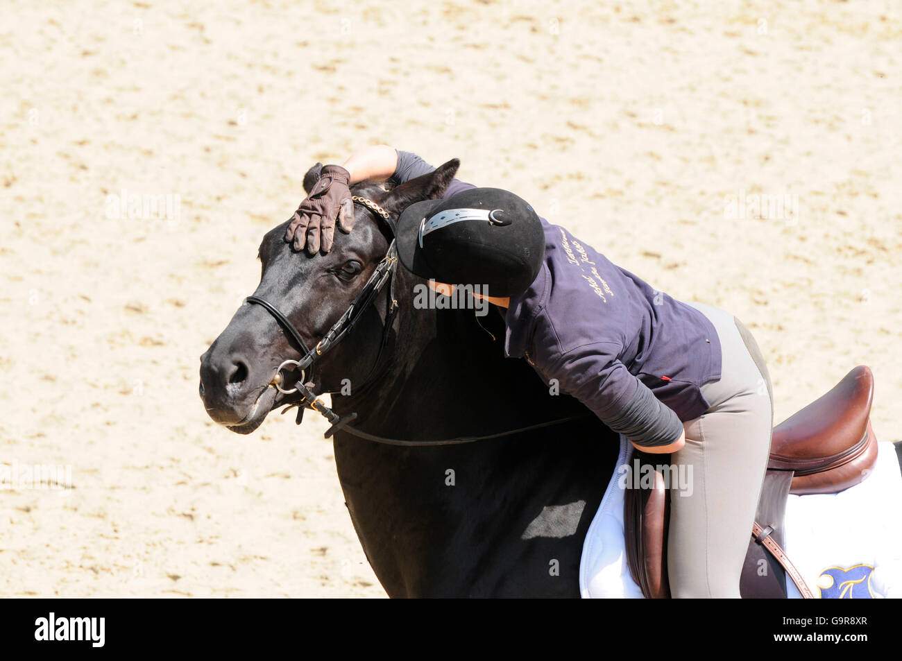 Rider with Akhal Teke, stallion / tack, riding helmet Stock Photo - Alamy