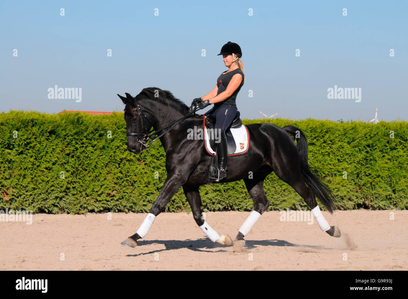 Woman riding dressage horse extended hi-res stock photography and ...