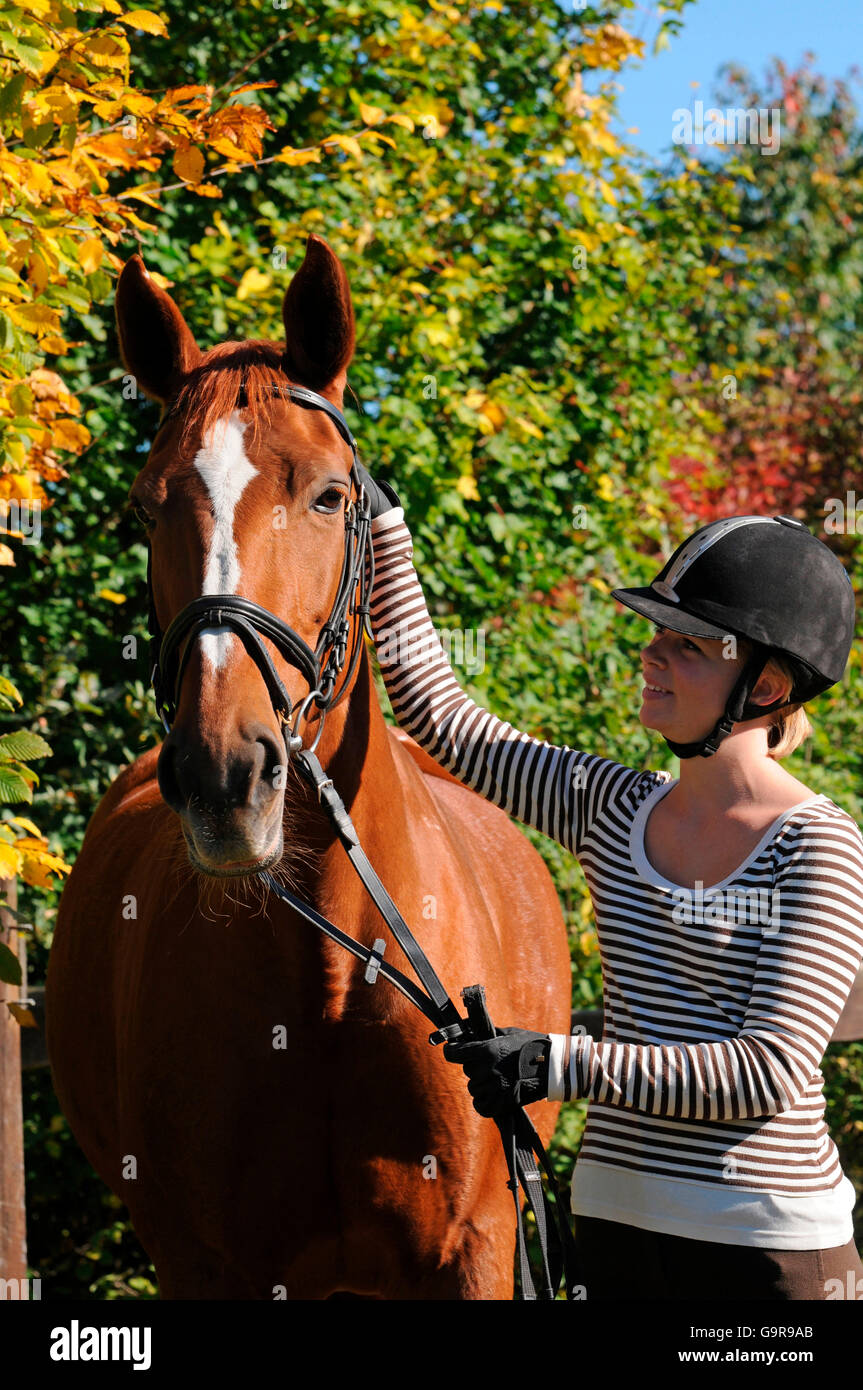 Girl with German Warmblood / sorrell, bridle, riding helmet Stock Photo ...