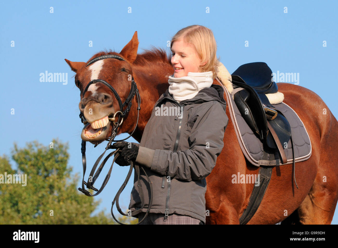 Girl with German Warmblood / sorrell, grimace Stock Photo - Alamy