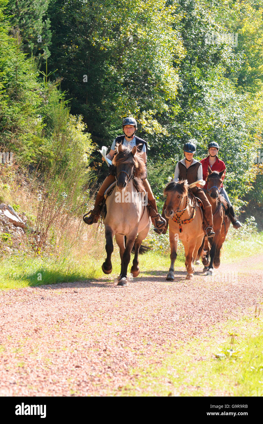 Trail riding / rider, map Stock Photo - Alamy