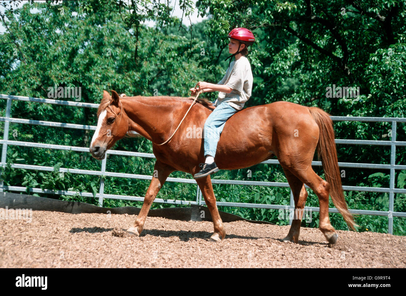 Bareback riding, girl having riding lesson, mare / riding helmet Stock ...
