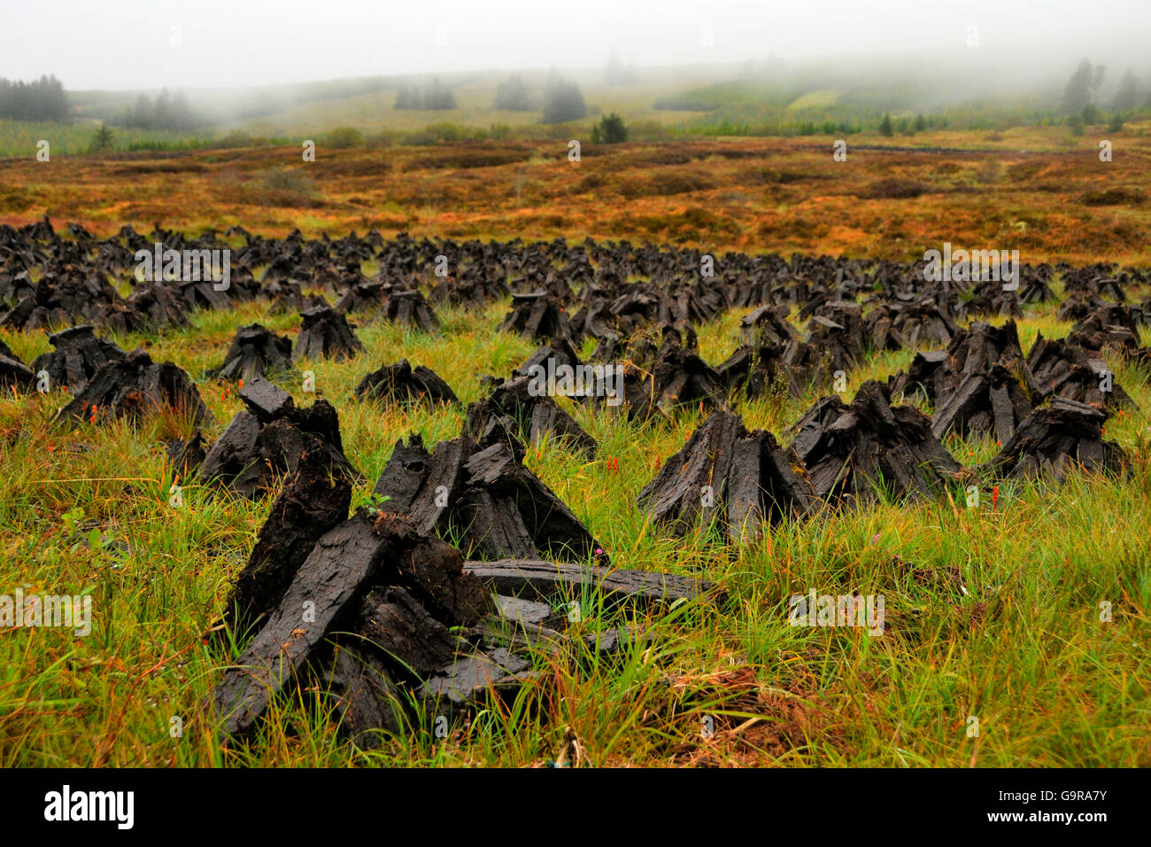 Stacked peat bales hi-res stock photography and images - Alamy