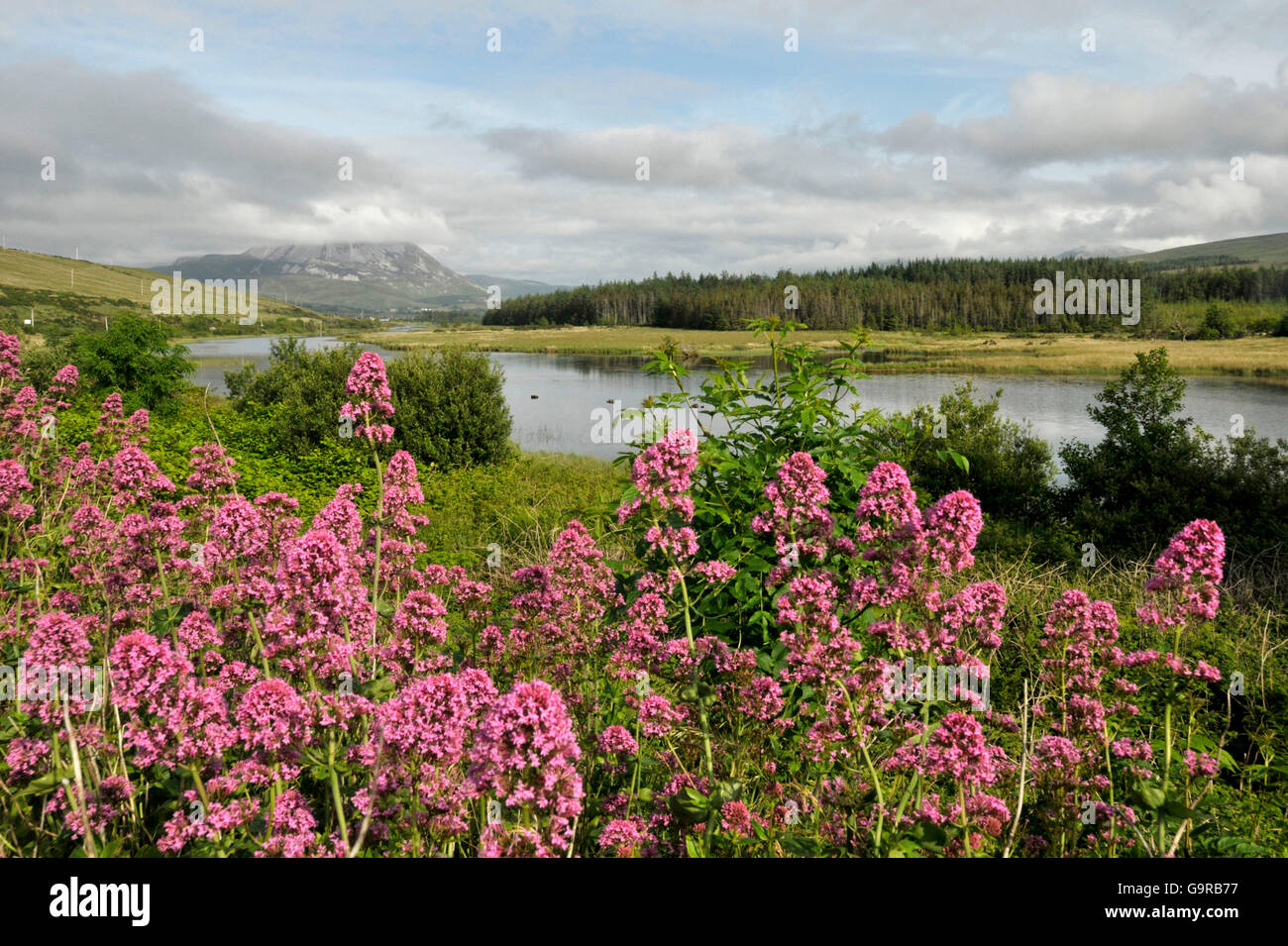 Gweedore, county donegal hi-res stock photography and images - Alamy