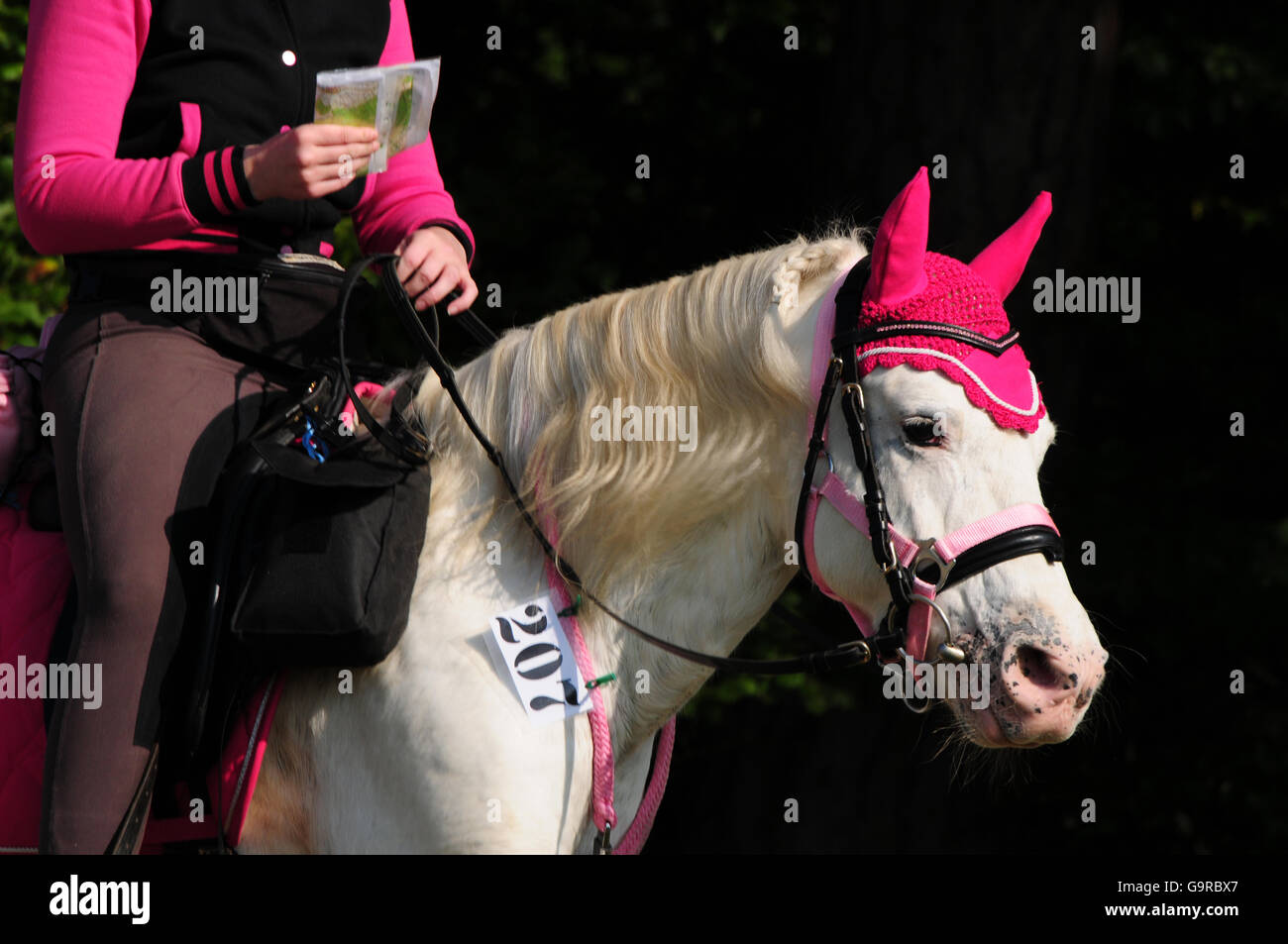 Riding Competition, trail ride, orienteering race, orienteering ride ...