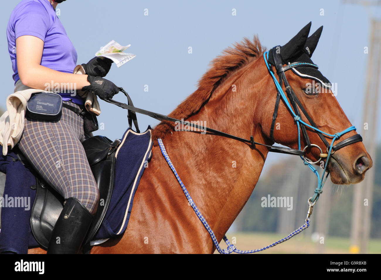 Orienteering competition hi-res stock photography and images - Alamy