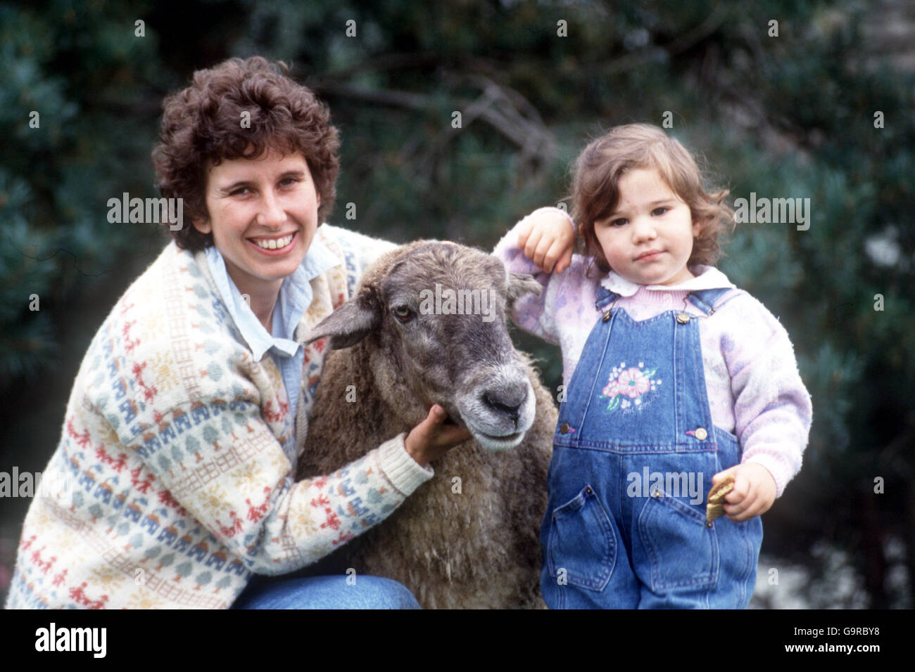 Jackie bingham daughter fred sheep hi-res stock photography and images ...