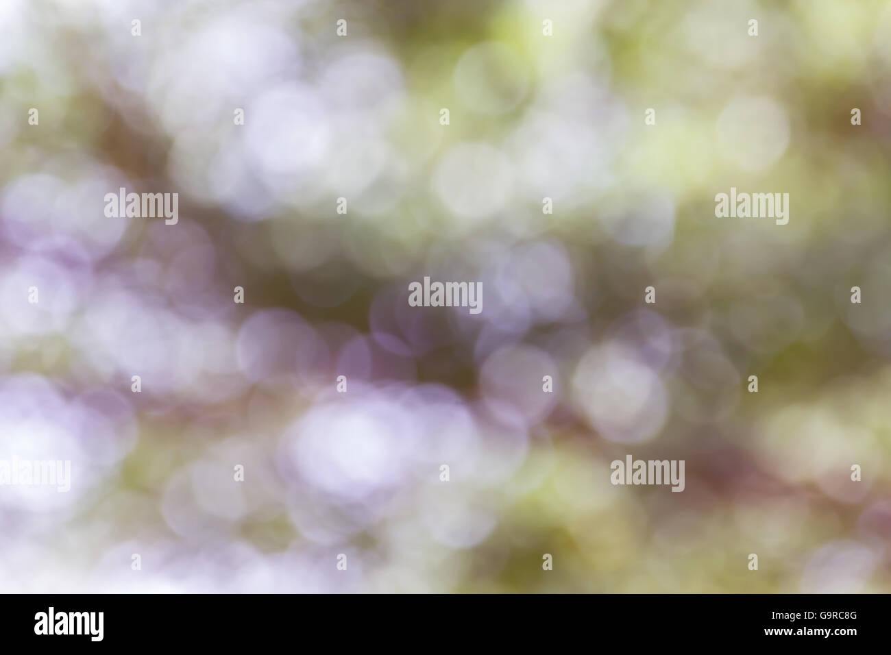 Dreamy soft glow romantic mood background, abstract sparkle green and pastel purple violet bokeh ...