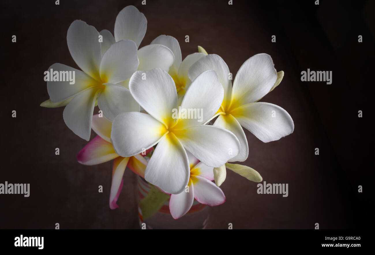 Light and dark room hi-res stock photography and images - Alamy