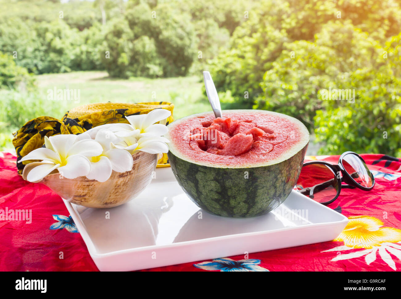 Melon conch hi-res stock photography and images - Alamy