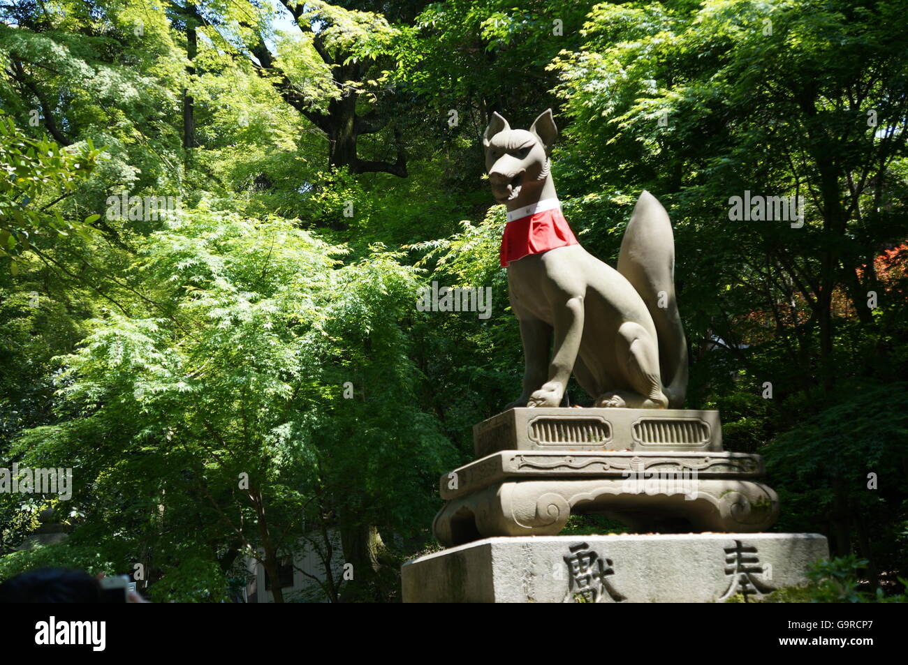 Kitsune hi-res stock photography and images - Alamy